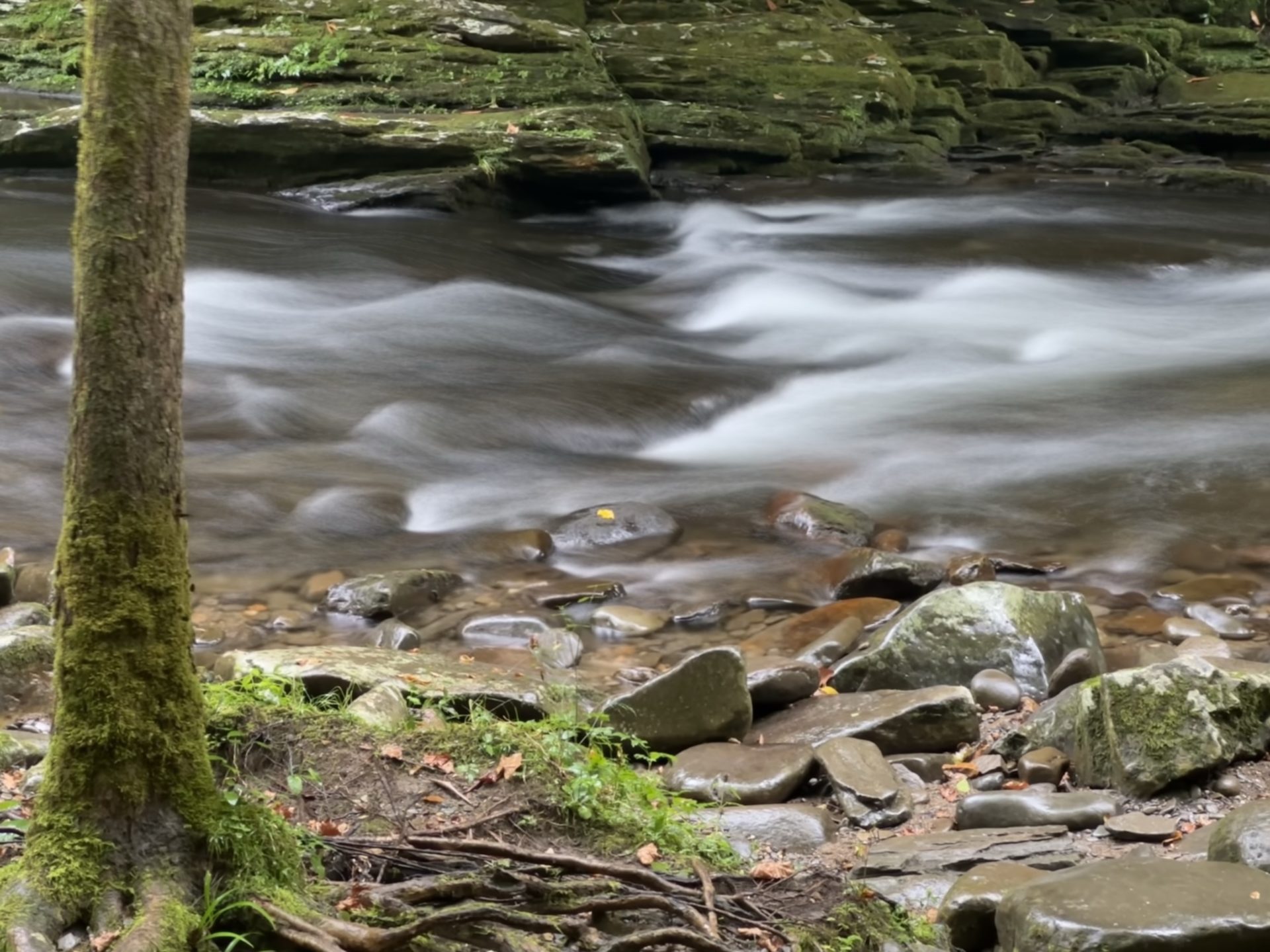 2023, a Review | Bradley : Photography